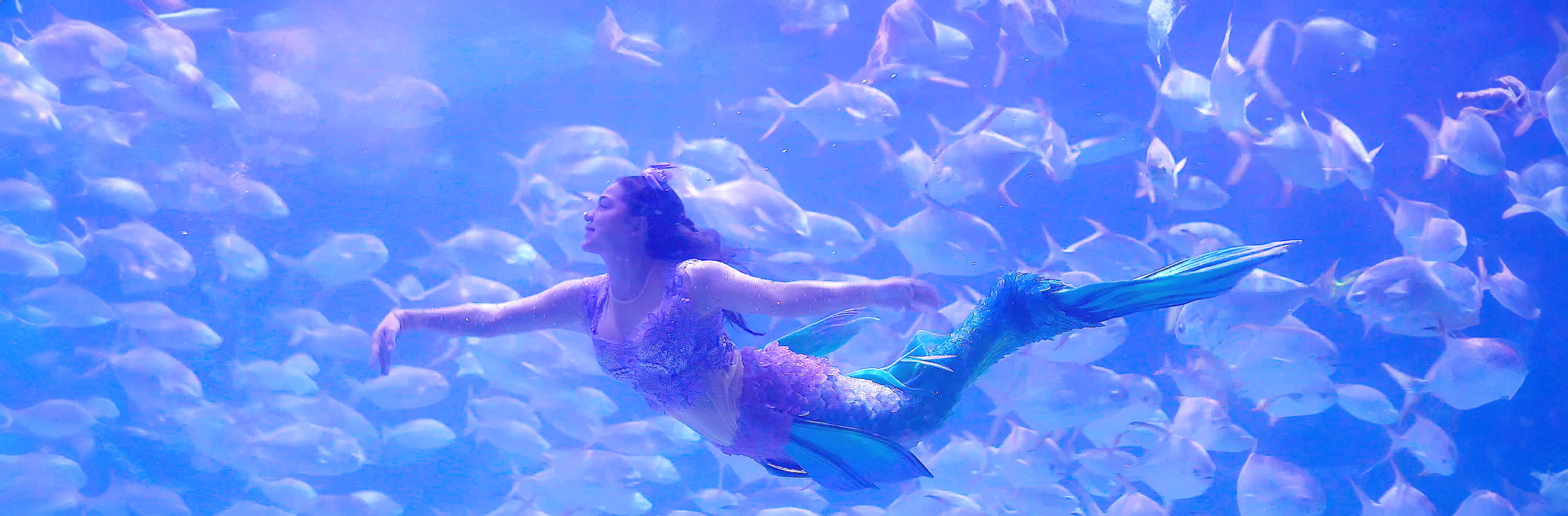 Birthday Bubble Bash Mermaid