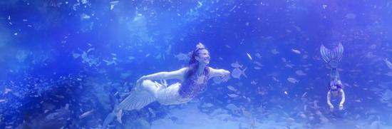 “Remembering the Mermaids” Book